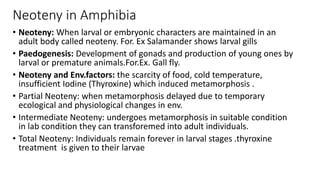 Parental care in amphibia | PPTX | Thyroid Disorders | Endocrine and ...