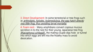 Parental care in amphibians | PPT