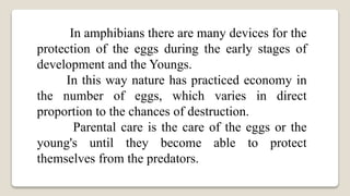 Parental Care In Amphibians 1.pptx