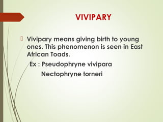 Parental care in amphibians | PPT
