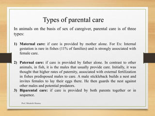 Parental care in fishes | PPTX