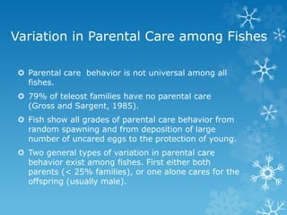 Parental Care in Fisheghnnnhhhhhhhs.pptx