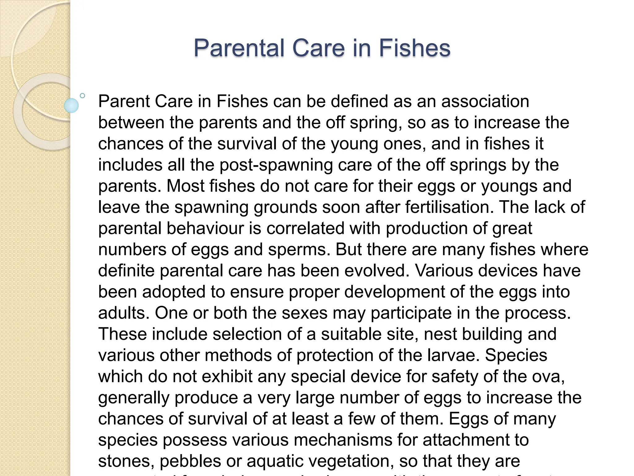 PARENTAL CARE IN FISHES.pptx for 5th sem | PPTX | Infertility ...