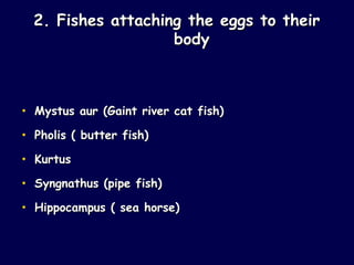 Parental c are in fishes zoology | PPT