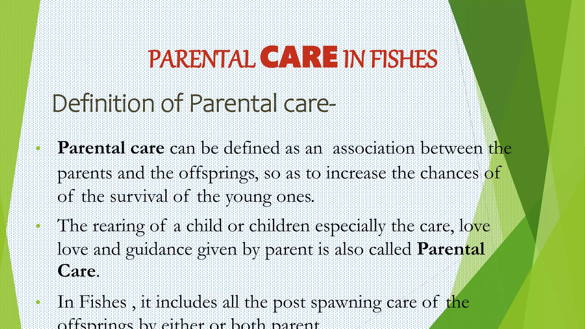 parental care of fishes.pptx | Fish and Aquariums | Pets