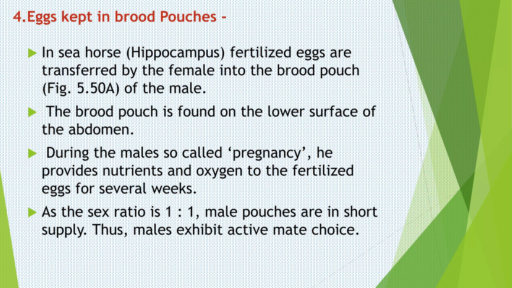 parental care of fishes.pptx