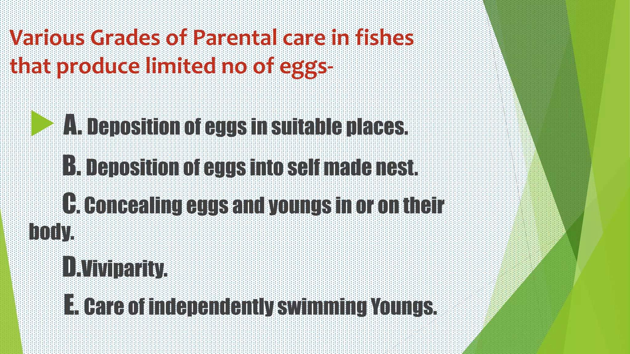 parental care of fishes.pptx | Fish and Aquariums | Pets