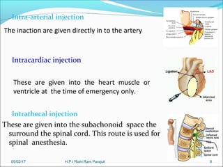 Parenteral Products | PPT