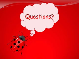 Kindergarten Parent Orientation | PPT