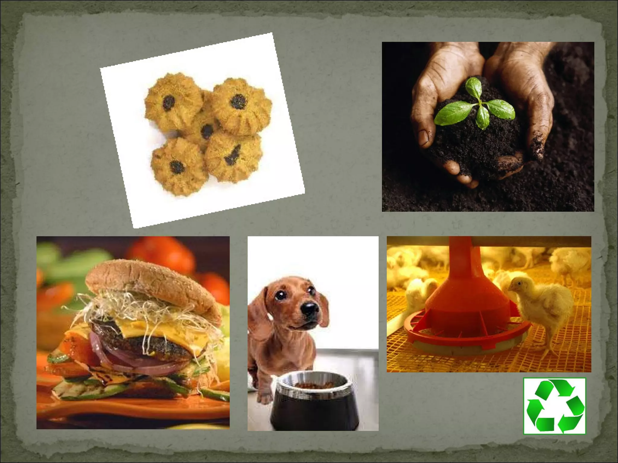 presentation 2nd level | PPT