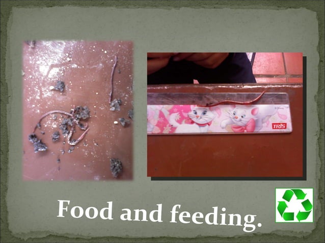 presentation 2nd level | PPT