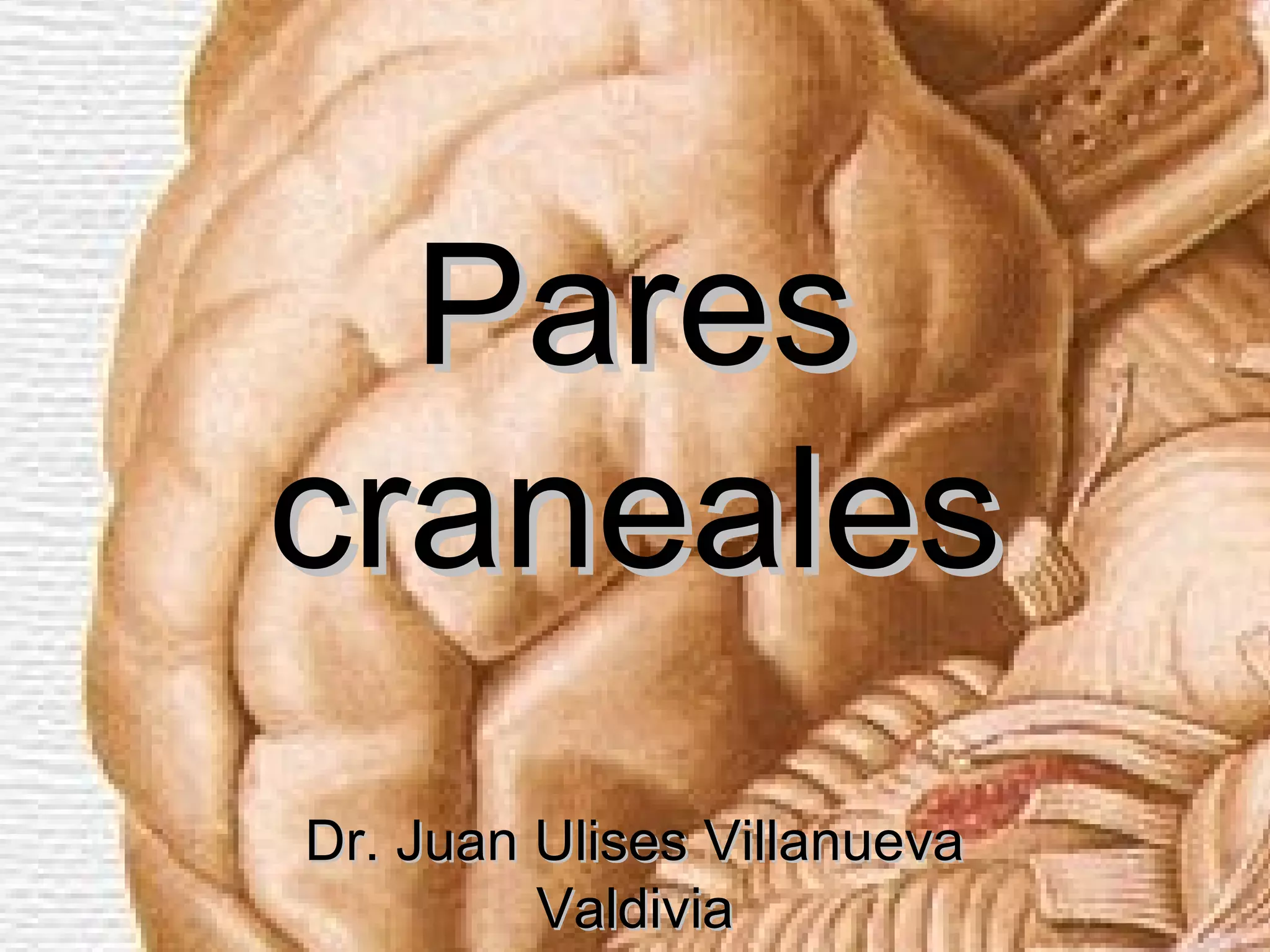 Pares craneales | PPT