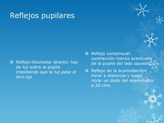 Pares craneales | PPTX