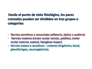 Valoracion de Pares Craneales y definicion | PPTX