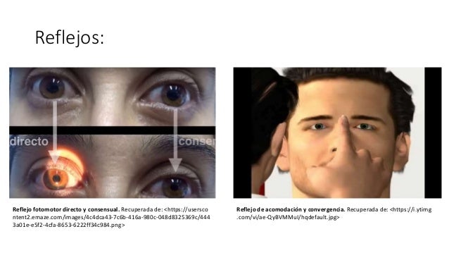 Exploración par III, IV y IV