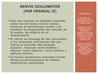 Pares craneales | PPTX