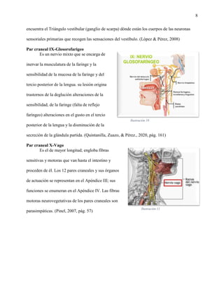 Pares craneales- Función y localización Anatómica | PDF