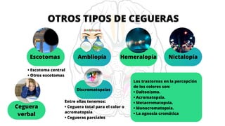 Pares craneales 1-6_20240513_023623_0000.pdf
