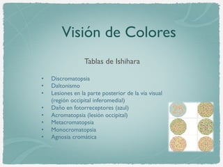 Semiología Pares Craneales (I,II,III,IV.VI) | PDF