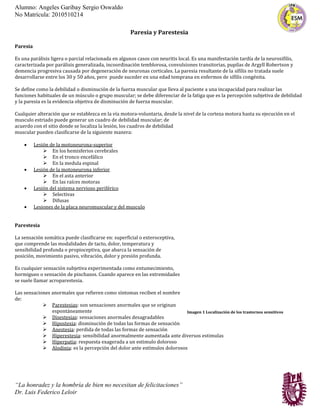 Paresia y Parestesia | PDF