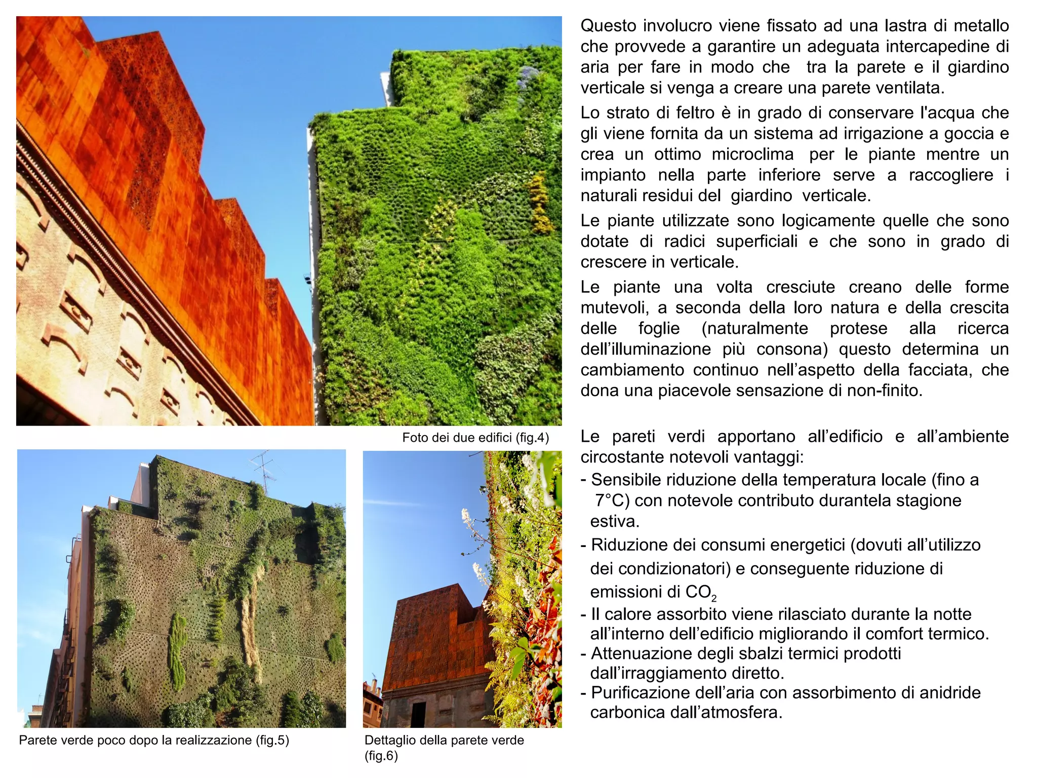 Pareti verdi | PPT