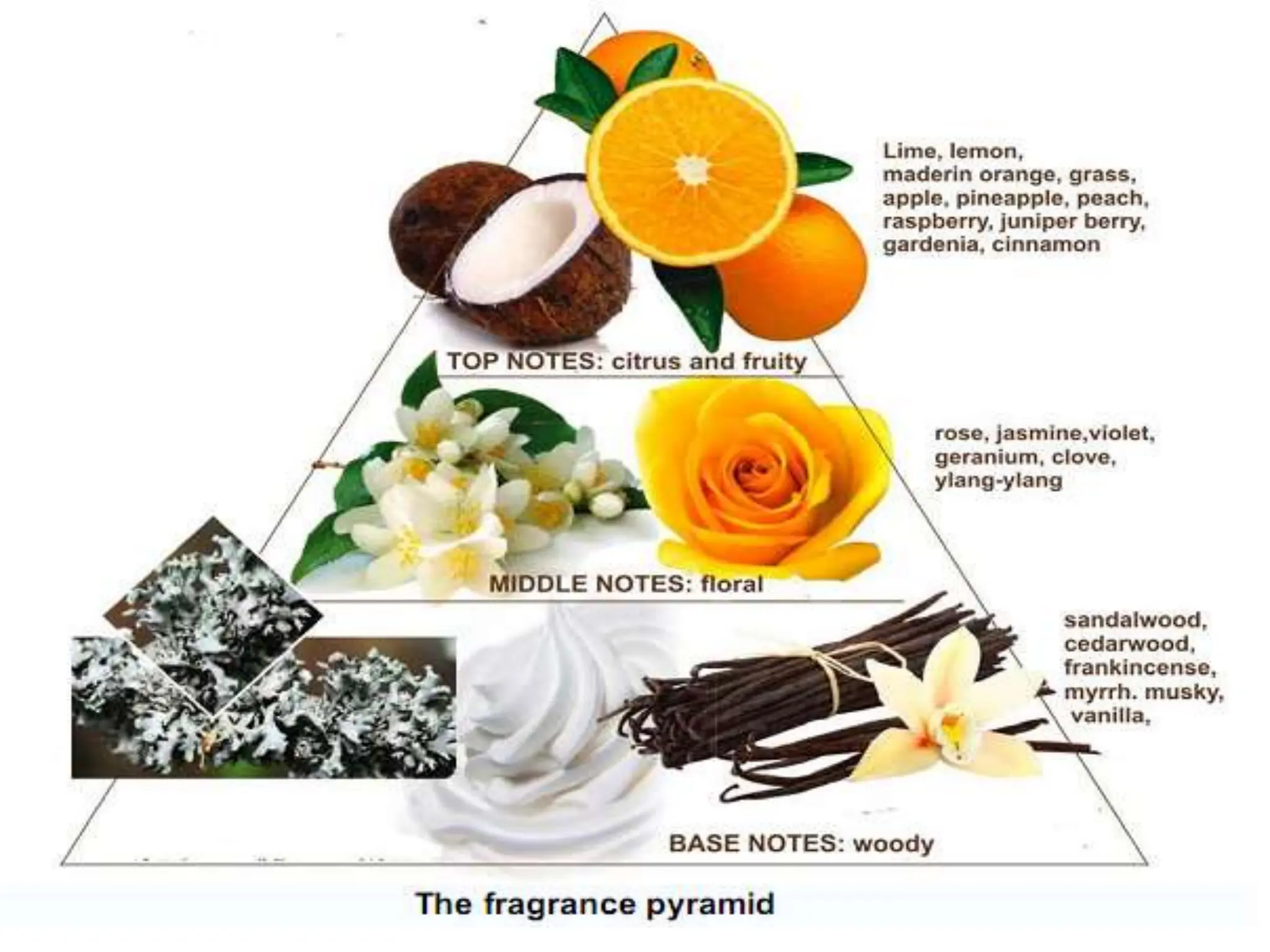 PARFUM_Odorant- Kosmetologi dan dasar-dasar parfum.pptx