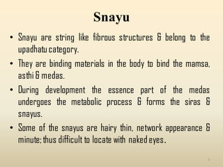 Paribhasa sharir | PDF