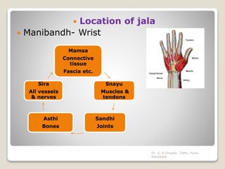 Paribhasha sharir.ppsx