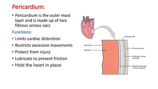 Paricarditis.pptx