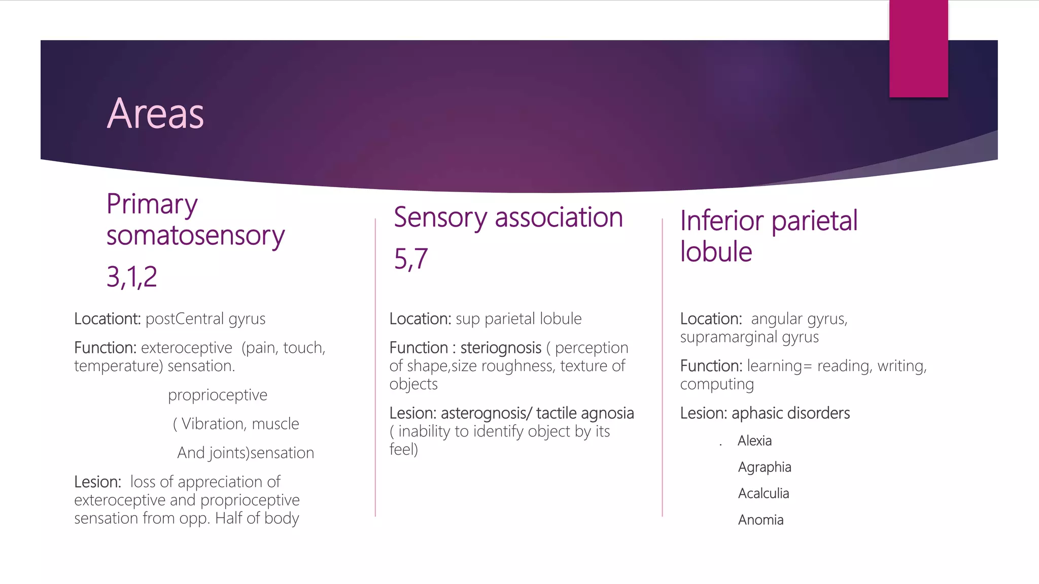 Parietal lobe it's lesions and orbital nerve pathway and it's lesions ...