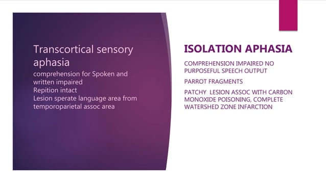 Parietal lobe it's lesions and orbital nerve pathway and it's lesions ...