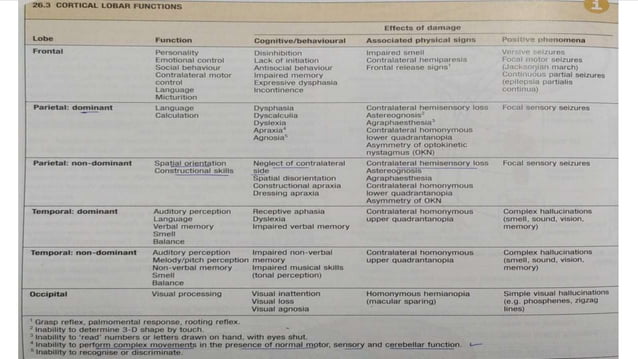 Parietal lobe it's lesions and orbital nerve pathway and it's lesions ...