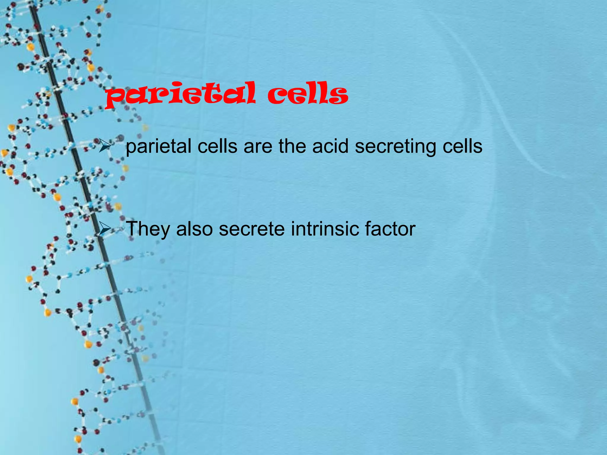 Parietal cells in health & diseases | PPT