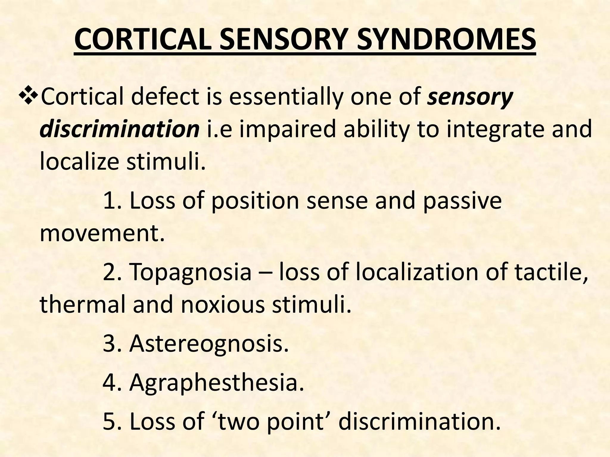 Parietal lobe and its functions | PPTX