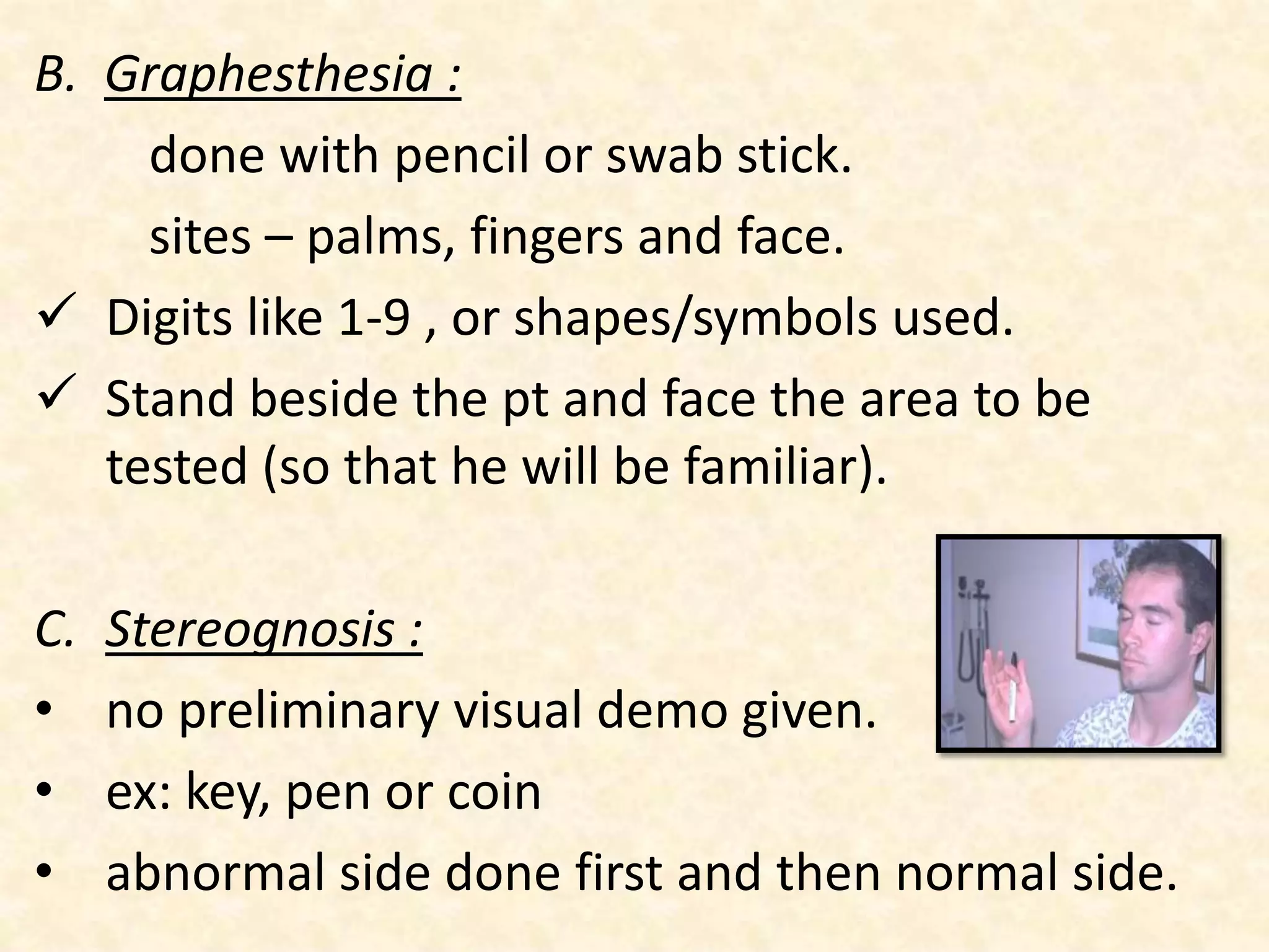 Parietal lobe and its functions | PPTX