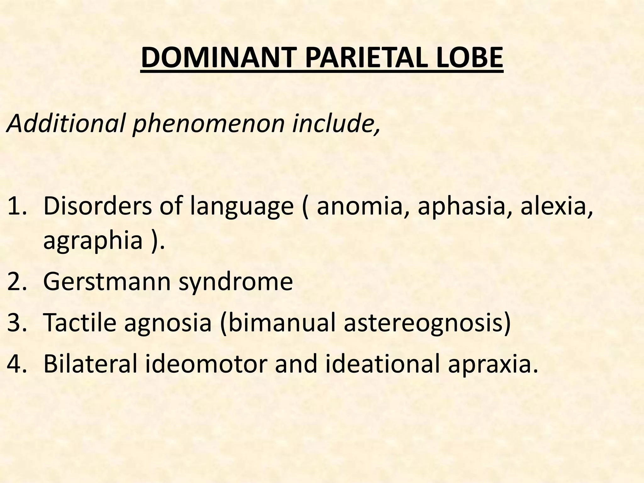 Parietal lobe and its functions | PPTX
