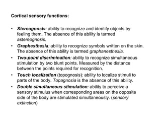 Parietal lobe.ppt