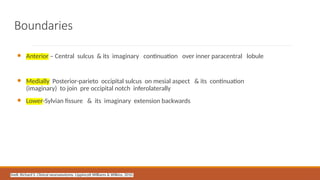 Parietal lobe functions and tests for assessment.pptx
