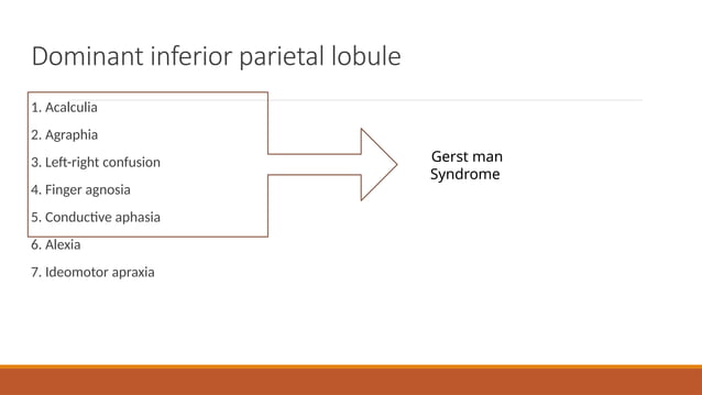 Parietal lobe functions and tests for assessment.pptx