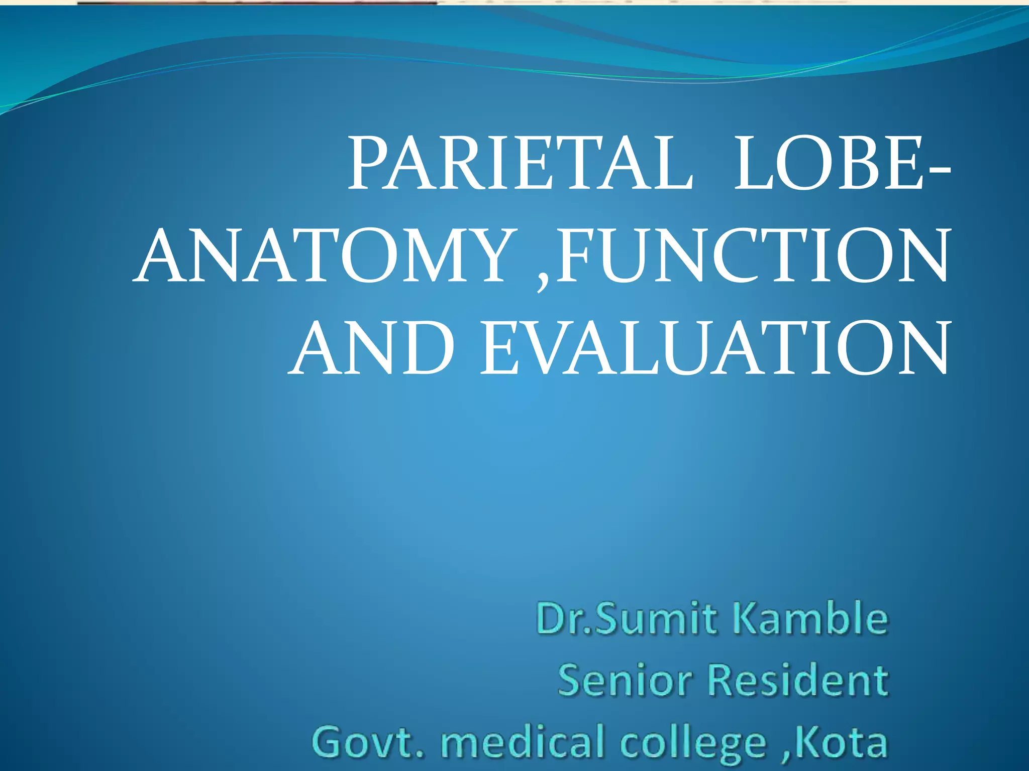 Parietal lobe ppt | PPTX