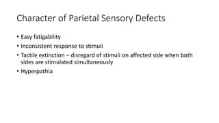 Parietal Lobe SIgns 24_7_18 | PPTX