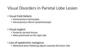 Parietal Lobe SIgns 24_7_18 | PPTX