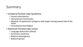 Parietal Lobe SIgns 24_7_18 | PPTX