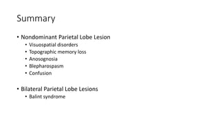 Parietal Lobe SIgns 24_7_18 | PPTX