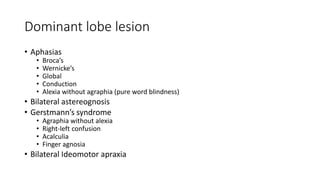 Parietal Lobe SIgns 24_7_18 | PPTX