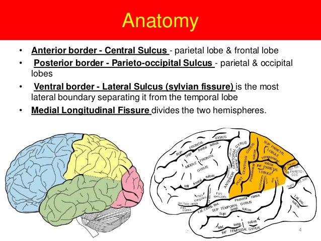 Parietal lobe tumor