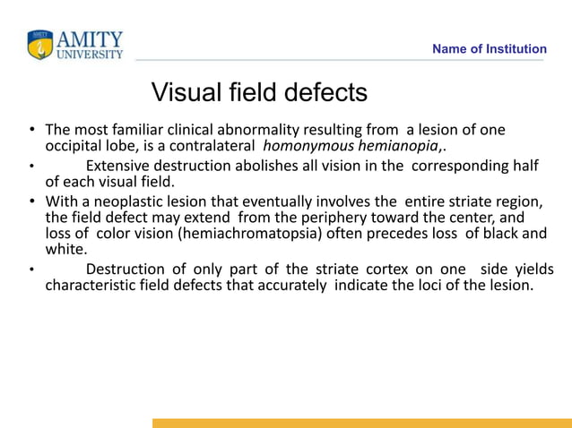 Parietal _ Occipital Lobe.ppt