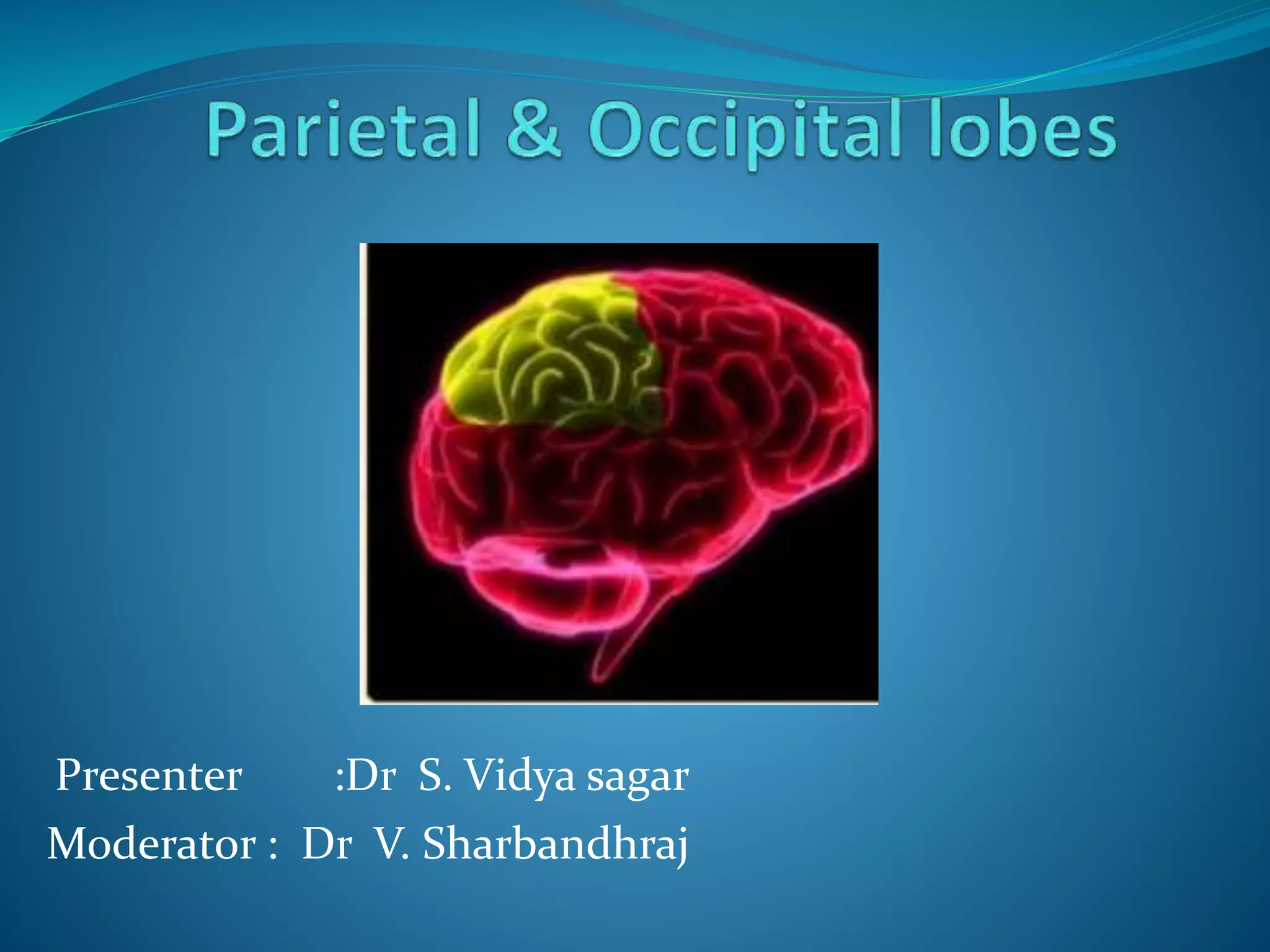 Parietal & occipital lobes | PPT