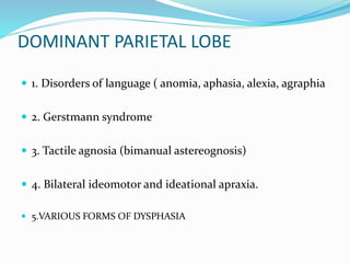 Parietal & occipital lobes | PPT