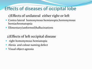 Parietal & occipital lobes | PPT
